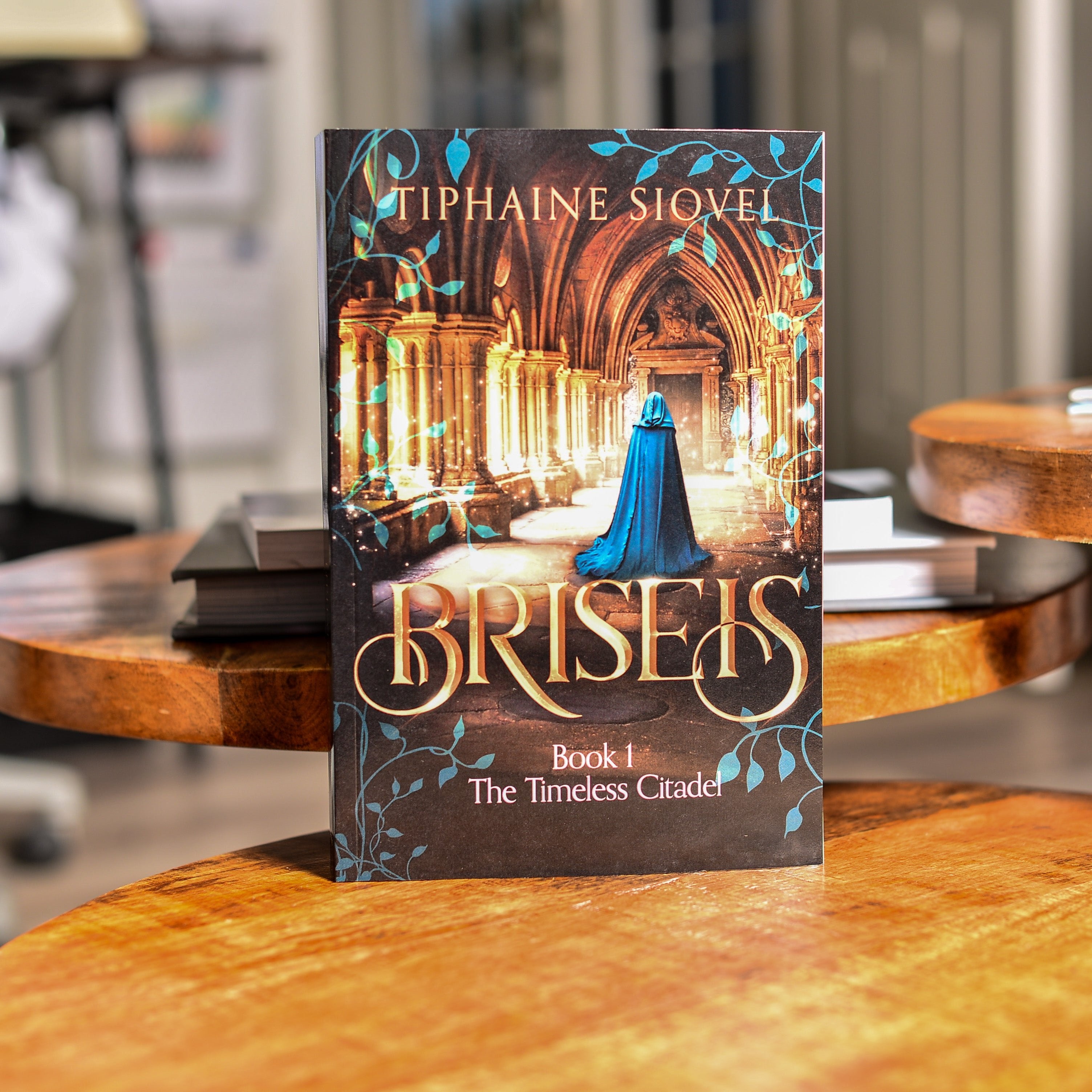 The Timeless Citadel [Book 1] – Siovel